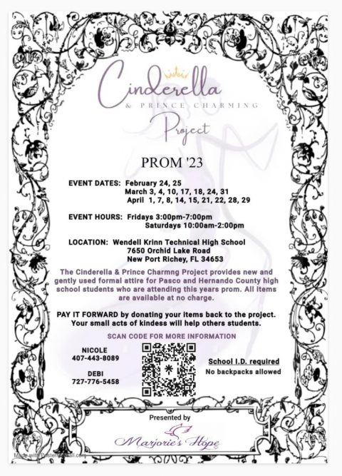 Cinderella Project 2023 | Fivay High School